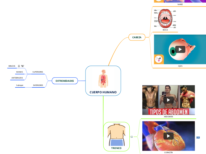 CUERPO HUMANO - Mind Map